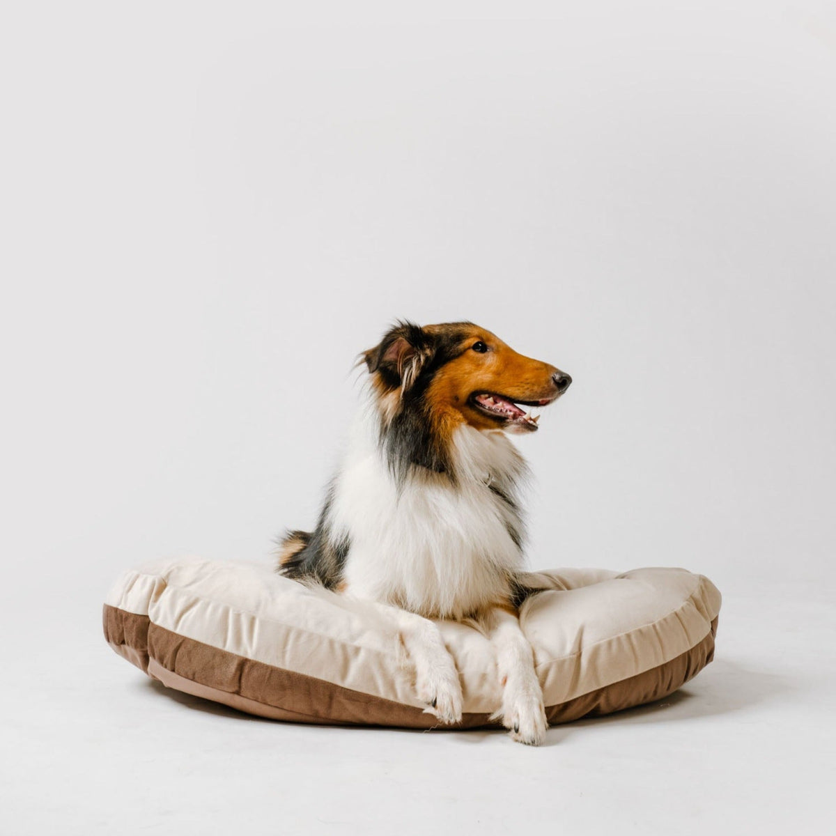 Kutson Deluxe – Ruff Trading Co.